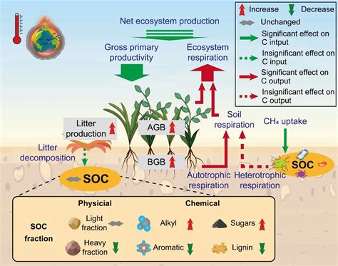综述高寒草地碳循环对增温的响应机制—— 中国科学院植物研究所植被与环境变化重点实验室