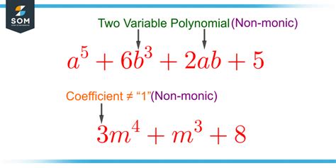 monic polynomial definition and meaning