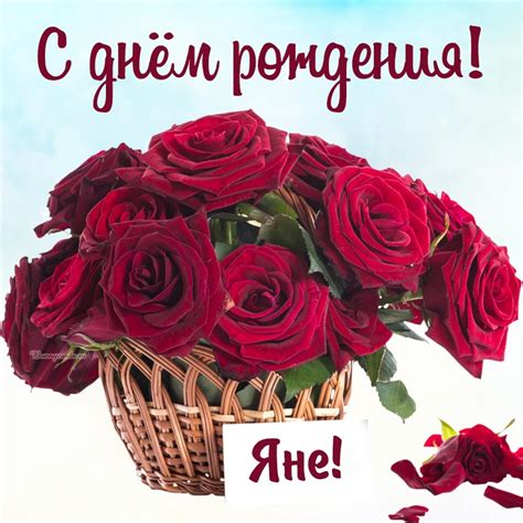 Открытка в красивом оформлении Яне на голубом фоне на день рождения