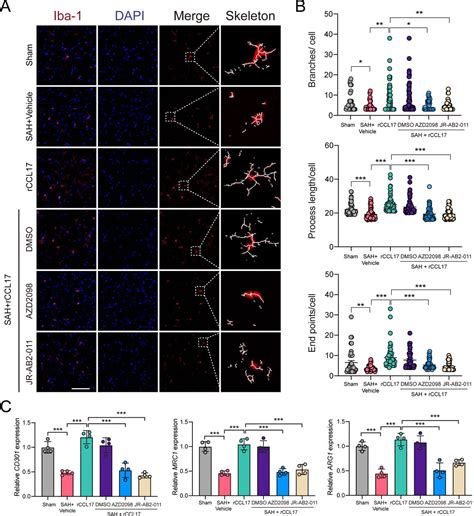 Ccl17 Exerts Neuroprotection Through Activation Of Ccr4 Mtorc2 Axis In Microglia After