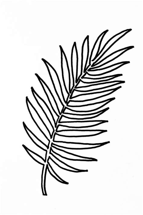 Palm Leaf Coloring Page