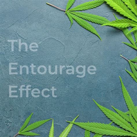 Electratect On Linkedin The Entourage Effect