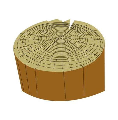 Tree Trunk Vector Illustration 658800 Vector Art At Vecteezy