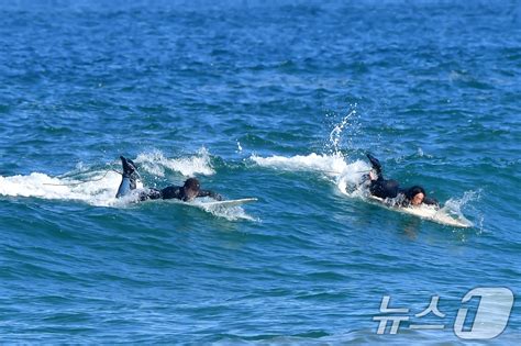 파도를 넘어 뉴스1