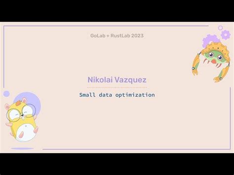 Free Video Small Data Optimization Techniques In Rust From Rustlab