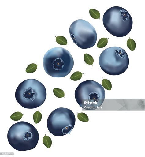 흰색 배경에 나뭇잎블루 베리의 집합입니다 신선한 블루베리 과일은 통곡물입니다 비타민 천연 제품이 풍부한 잘 익은 신선한 블루 베리에 유용 합니다 3d 사실적인 일러스트레이션