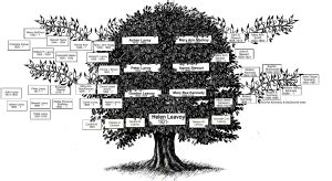 Leavoy Oh What A Tree