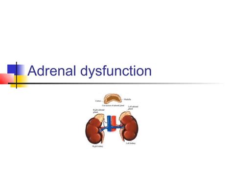 Adrenal Dysfunction Ppt