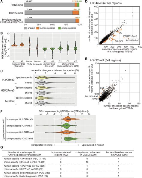 Figure 3 From Sequence Divergence And Retrotransposon Insertion