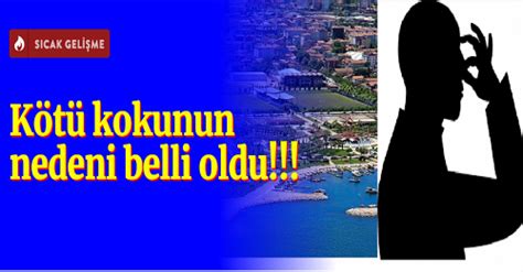 Kötü Kokunun Nedeni Belli Oldu Gölcük Gündem