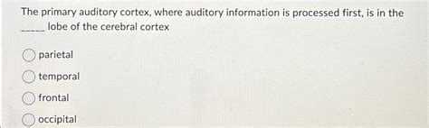 Solved The Primary Auditory Cortex Where Auditory Chegg Com