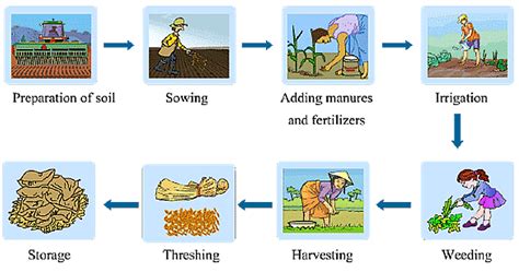 Summary Of The Chapter Crop Production And Management Class 8 PDF