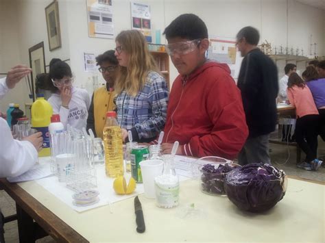 Laboratory Techniques Red Cabbage Indicator Pictures