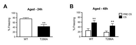 Contextual LTM Formation After Conditioning Trials Is Impaired In Download Scientific