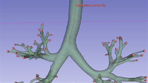 Vmtk Generated Centerline Curves Missing Structure Hierarchy Support 3d Slicer Community