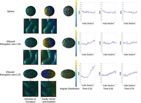 22 Illustration Of Principal Directions Of Curvatures Gradients Of
