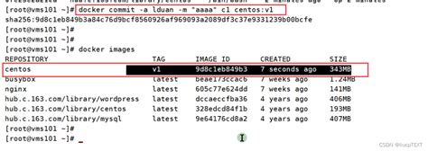 Docker镜像构建与优化：使用dockerfile与ssh镜像制作 Csdn博客