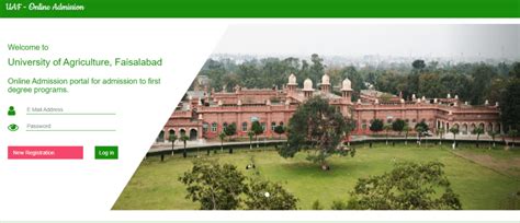 University Of Agriculture Faisalabad Admission 2024