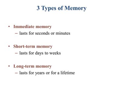 Cerebral Cortex Intellectual Functions Of The Brain Learning And Memory Ppt