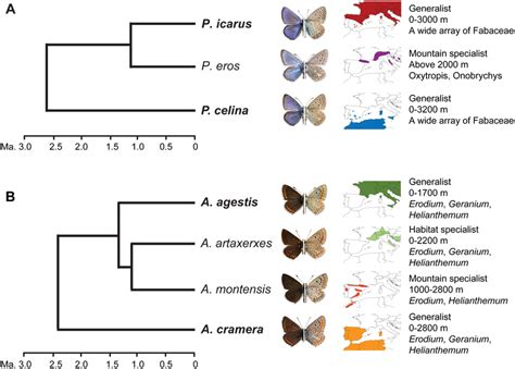 Model Species A The Evolutionary Relationships External Appearance