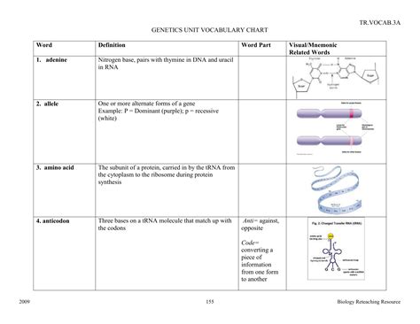Biology Genetics Unit Vocabulary