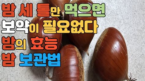 [건강] 밤 세 톨만 먹으면 보약이 필요 없다 밤의 효능 밤 보관 법 밤의효능 밤보관법 Youtube