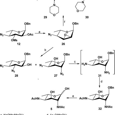 Transition States Formed From The S N 2 Displacement Of 3 And Download Scientific Diagram