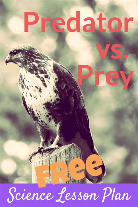Prey Science