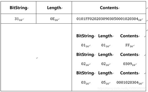 asn 1 常用类型 编码详解 入门 csdn博客