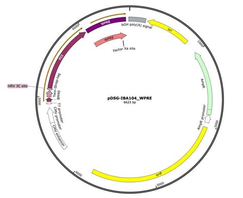 Nikolay Dobrev On Linkedin Proteinpurification Biotechtips Labtips Sciencematters… 24