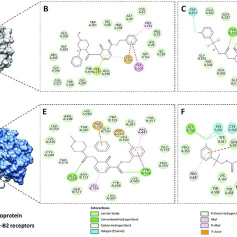 Binding Conformation And Chemical Interaction Network Of Top 1 And Top