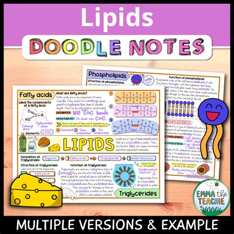 Enzymes Doodle Notes Emmatheteachie Enzymes Doodle Notes Emmatheteachie
