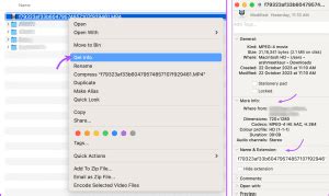 How To Fix This File Isnt Compatible With QuickTime Player Error Guiding Tech