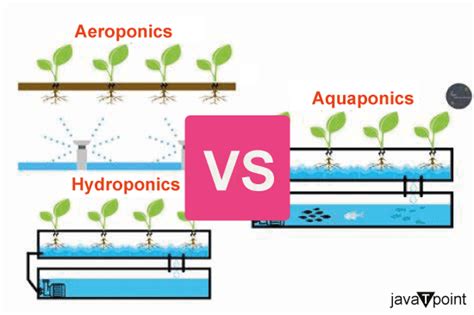 Gravity Feed Hydroponics Diagrams How Hydroponics Can Be Done Diy