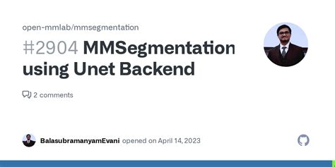 Mmsegmentation Tutorial Ipynb Using Unet Backend Issue Open Mmlab Mmsegmentation Github