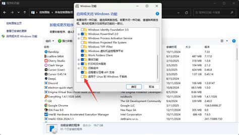 为什么启动idea和cursor会出现这个弹窗呢？ 开发调优 Linux Do