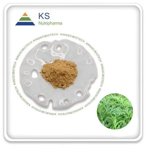 Artemisia Capillaris Extract Kingsci