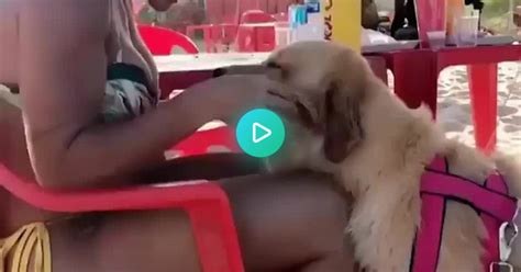 Lets Cuddle Album On Imgur