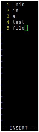 LFCS How To Install And Use Vi Vim As A Full Text Editor Part
