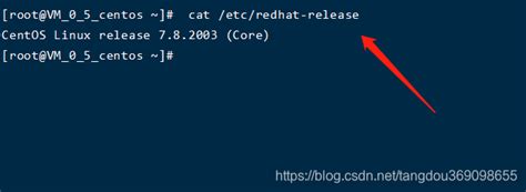 超简单图文并茂基于linux使用docker部署node js项目 linux docker nodejs csdn博客