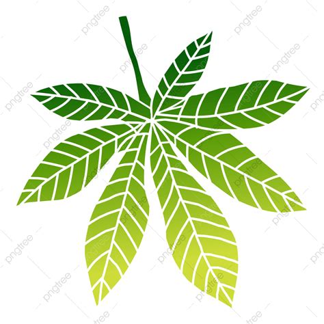 Cassava Vector Hd Png Images Illustration Of Cassava Leaves Flour Cassava Leaf Decoration