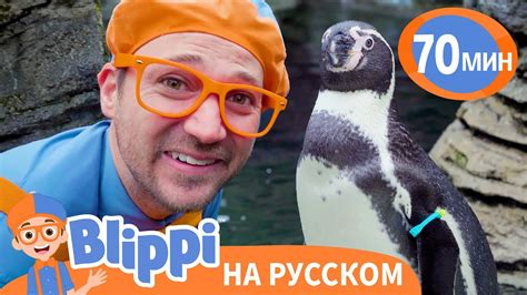 Блиппи изучает пингвинов в Зоопарке🐧 | Блиппи на русском - YouTube