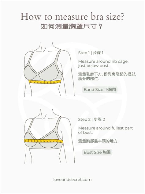 All Lite Seamless Wireless Bra Love And Secret