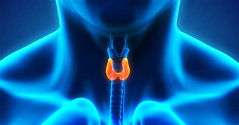 Future Of Thyroid Nodule Classification Driven By Ai Machine Learning