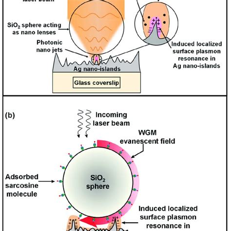 A B Sem Micrographs Of Sio2 Nanoparticles At Different Download Scientific Diagram