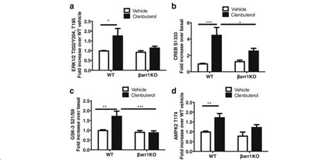 Human Phospho Antibody Array Analysis Reveals That Phosphorylation Download Scientific Diagram