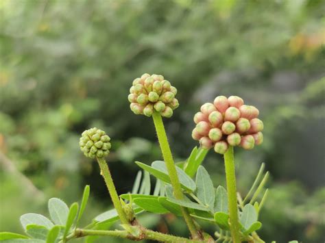 About Kamal Maiti Medium