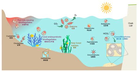 西湖大学新发 Science 丁香园