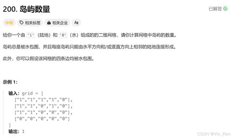 Top100岛屿数量 Csdn博客
