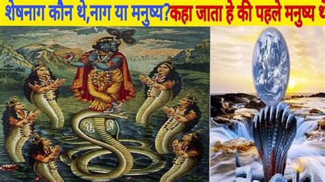 शेषनाग कौन थे कैसै हुई शेषनाग की उत्पत्ति Story Of Sheshnaag
